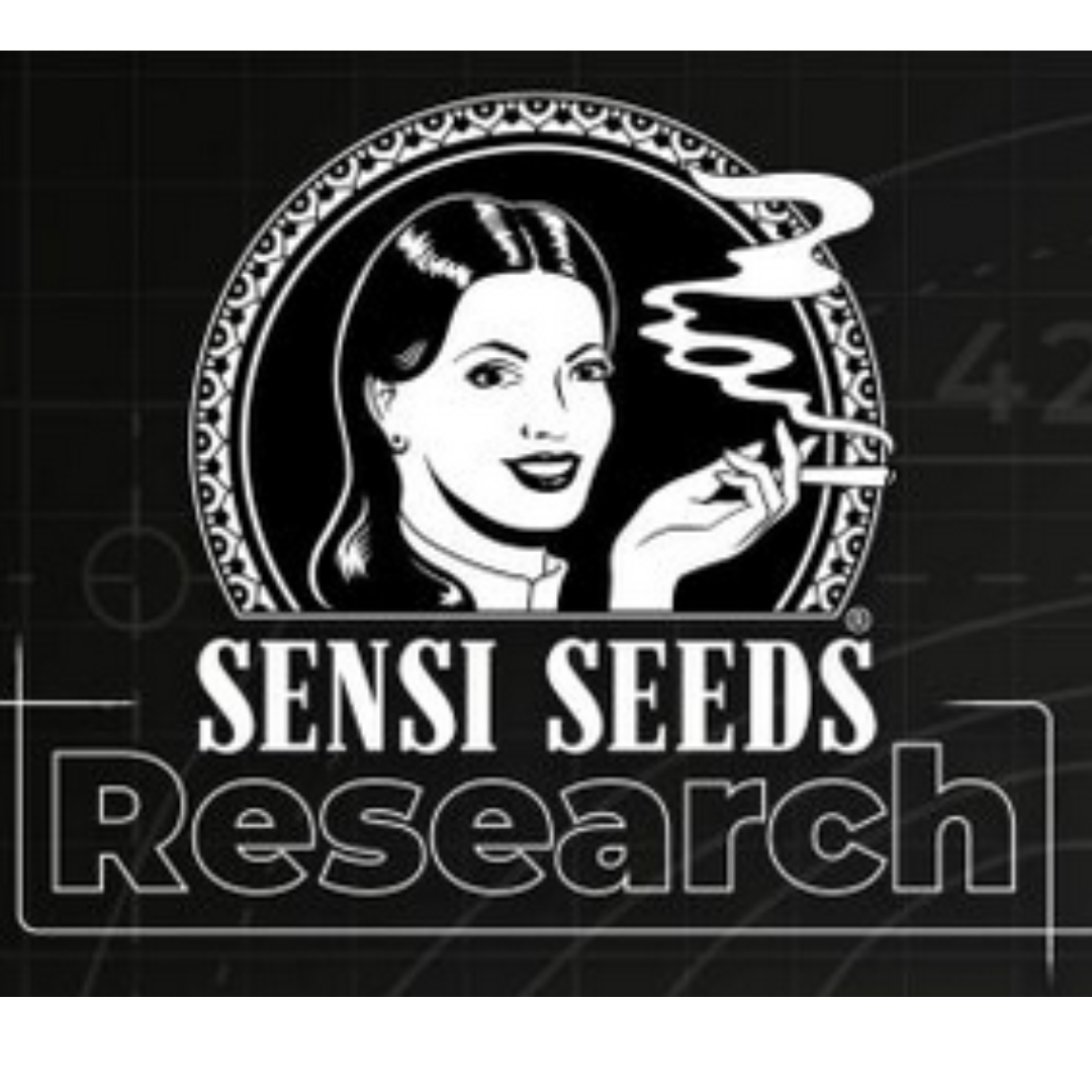 Sensi Seeds Research Kaufen Cannabis Samen Auf Bio Gartenweltde 7094